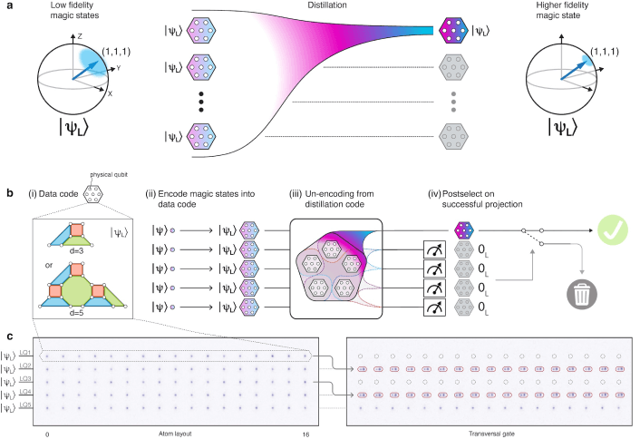 Quantum Error Correction